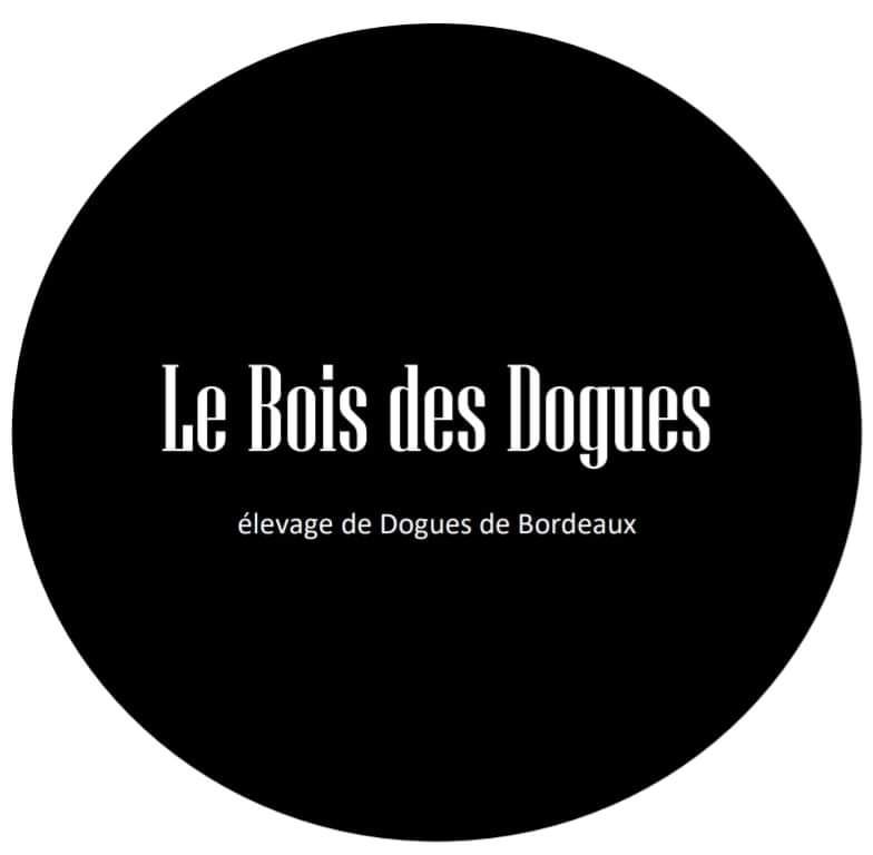 Accueil - Elevage Le Bois Des Dogues - eleveur de chiens Dogue de Bordeaux